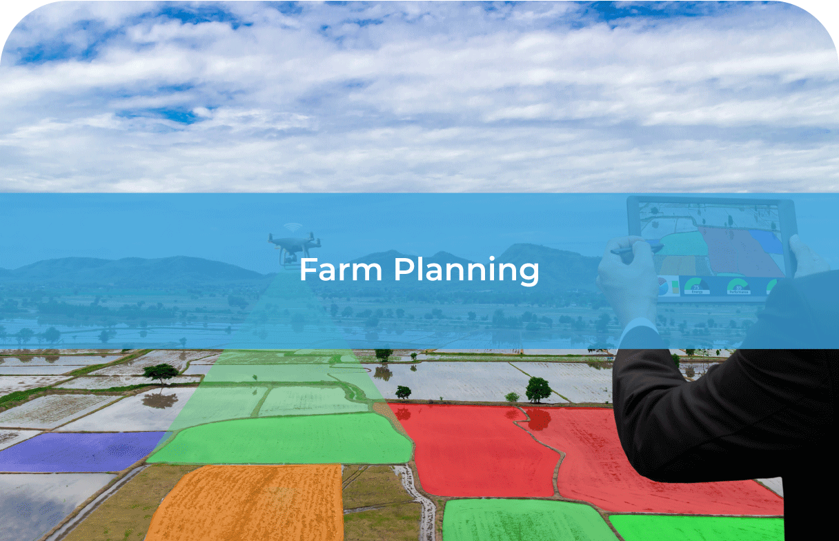 A guide to farm planning using farm management software - LiveFarmer UK