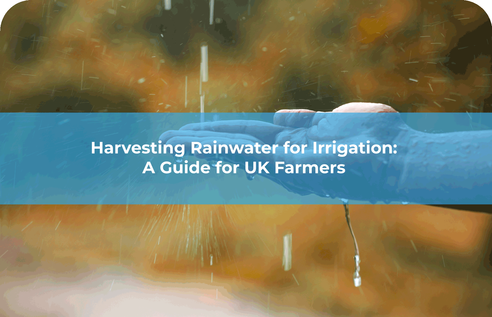 Harvesting Rainwater for Irrigation: A Guide for UK Farmers - LiveFarmer UK