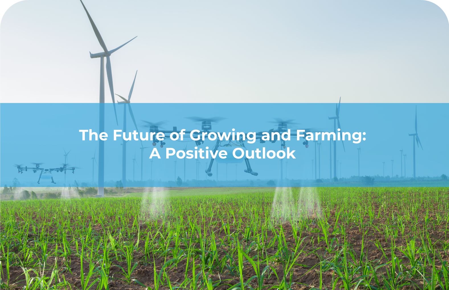The Future of Growing and Farming: A Positive Outlook - LiveFarmer UK