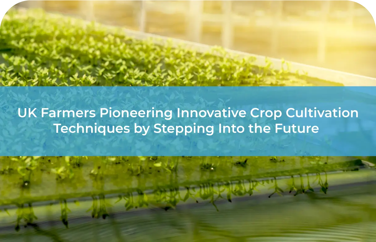 UK Farmers Pioneering Innovative Crop Cultivation Techniques