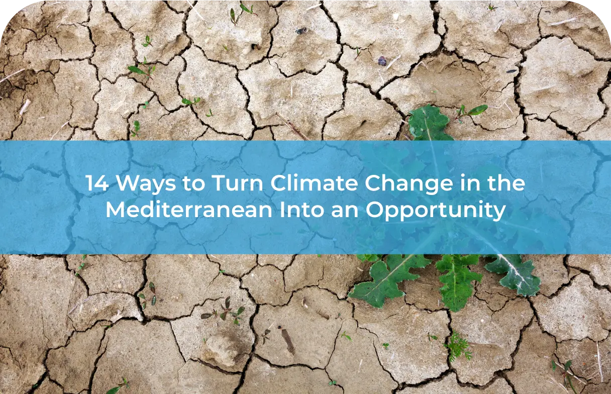 14 Ways Mediterranean Climate Change Is An Opportunity