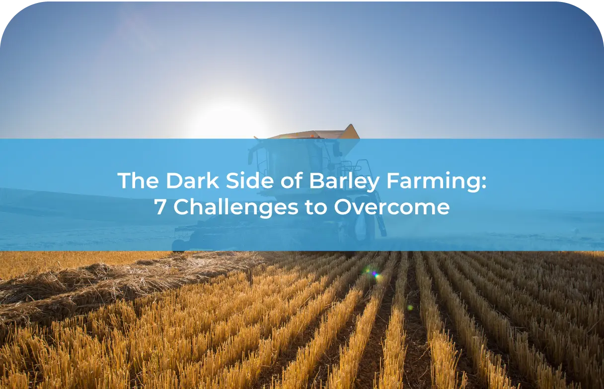 The Dark Side of Barley Farming: 7 Challenges to Overcome