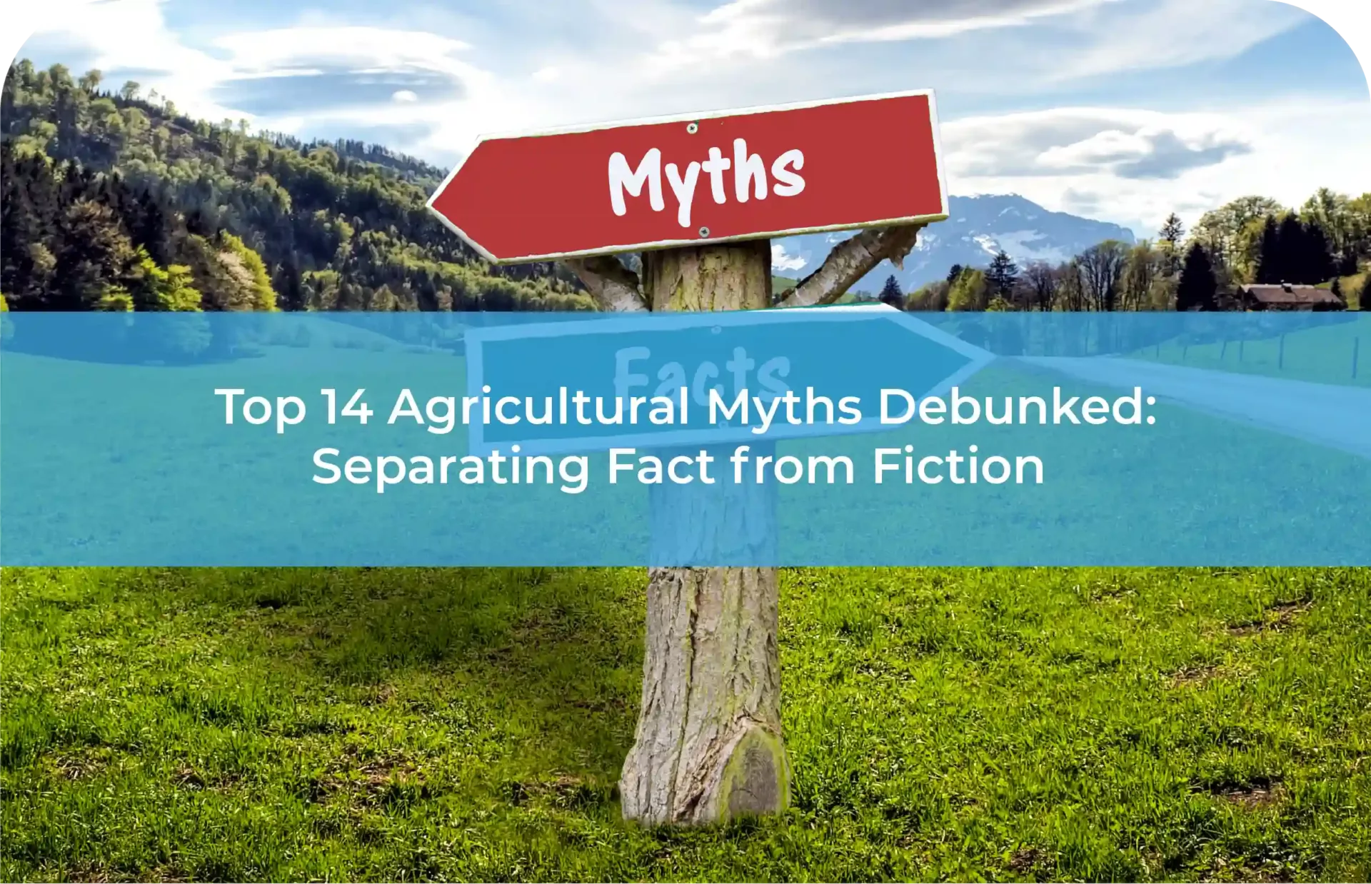 Top 14 Harmful Agricultural Myths Destroyed