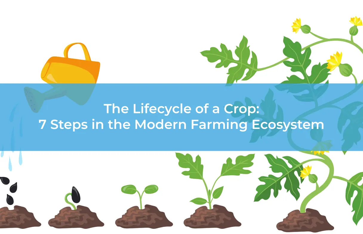 Lifecycle of The Best Crop: 7 Steps in the Modern Farming Ecosystem